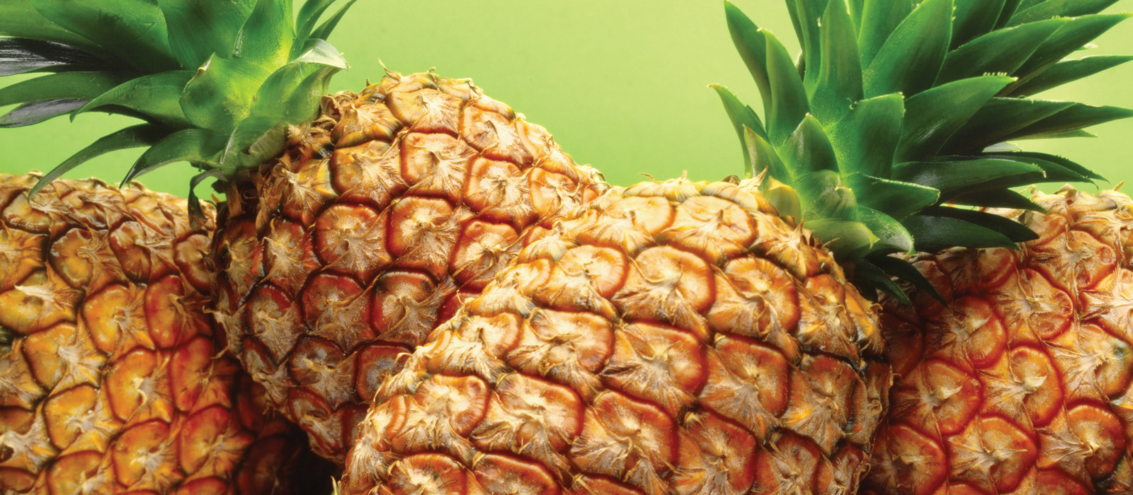 Pasco Foods | Pasco Foods